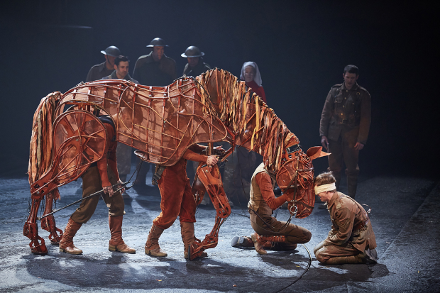 War Horse at National Tehatre - Babes About Town